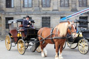 The Evolution of the Automobile from Horse-Drawn Carriages to Electric Cars